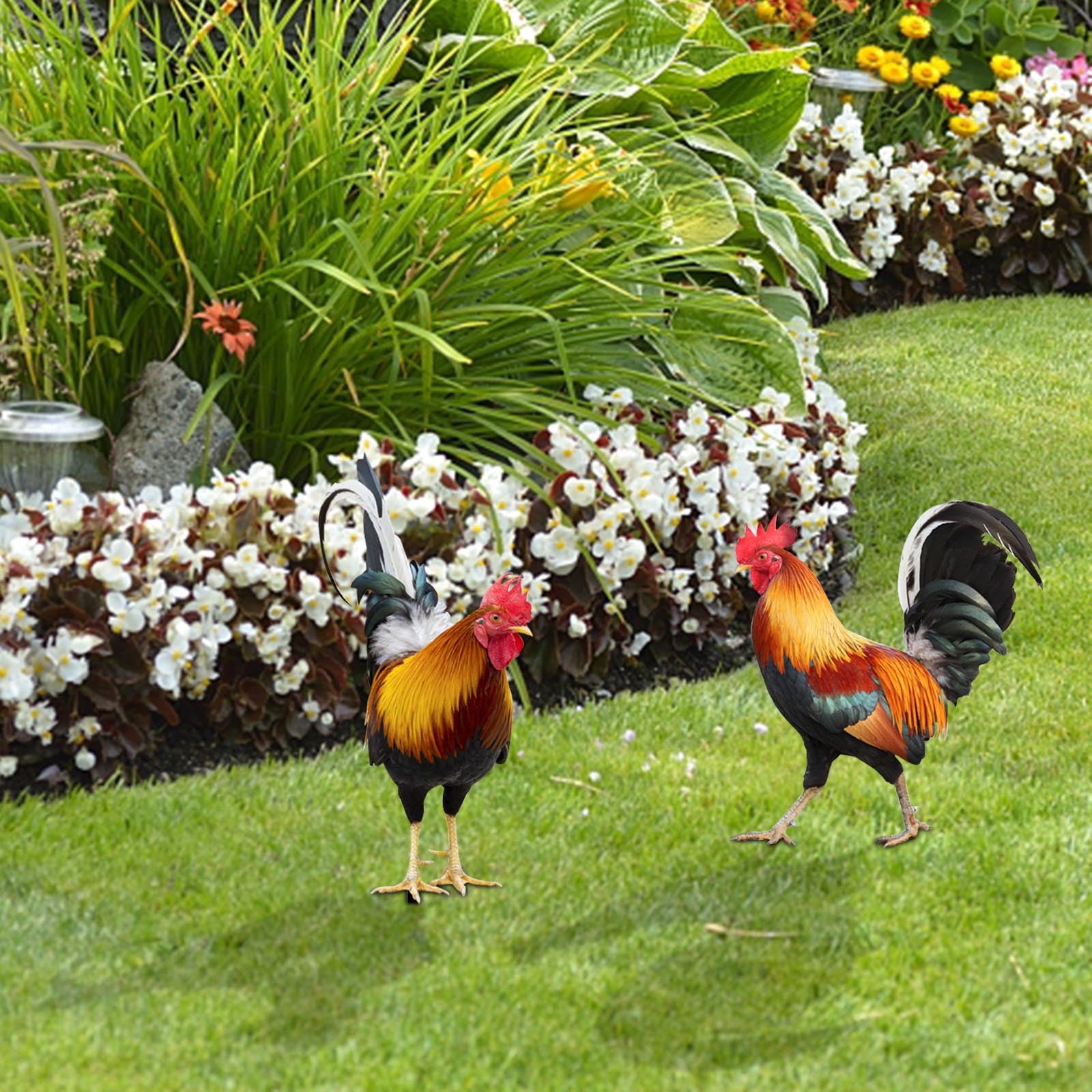 Aorijia Chicken Yard Decor 2pcs Chicken Rooster Yard Art Garden Stake Realistic Lifelike Garden ...