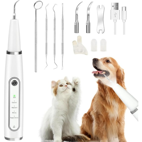 Aorsher 5 Modes Dog Teeth Cleaning Kit for Tartar Stains Removal ...