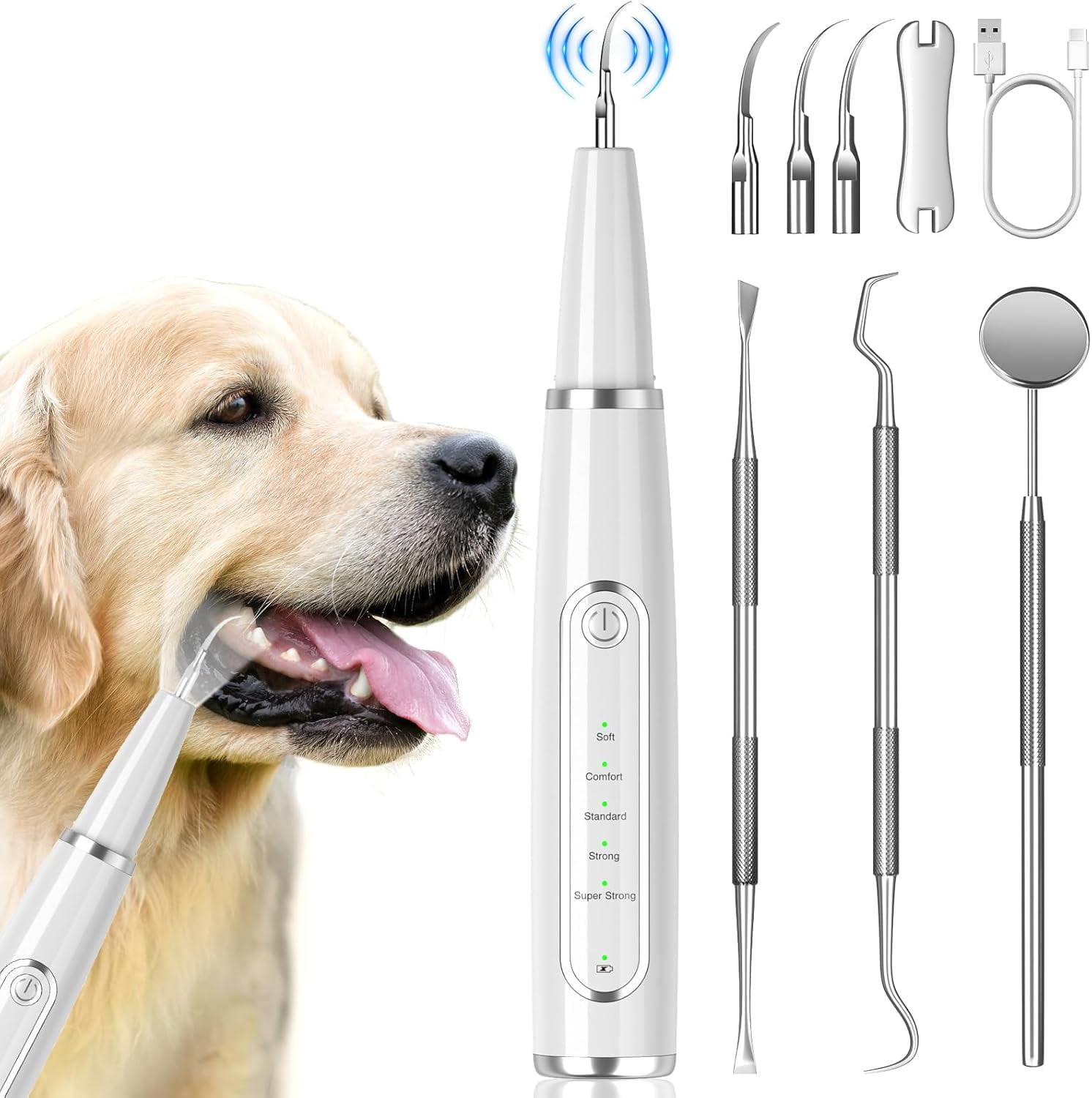 Aorsher Dog Plaque Remover for Teeth, Dog Teeth Cleaning Kit with LED ...