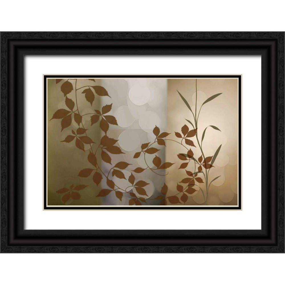 Aparicio, Edward 18x13 Black Ornate Wood Framed with Double Matting ...