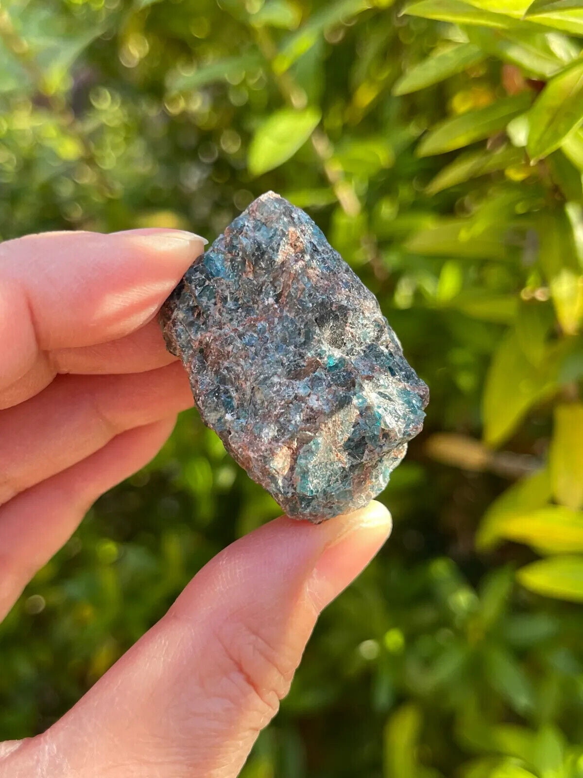 Apatite Rough Natural Stones, 1-2" Raw Blue Apatite Stones - Walmart.com