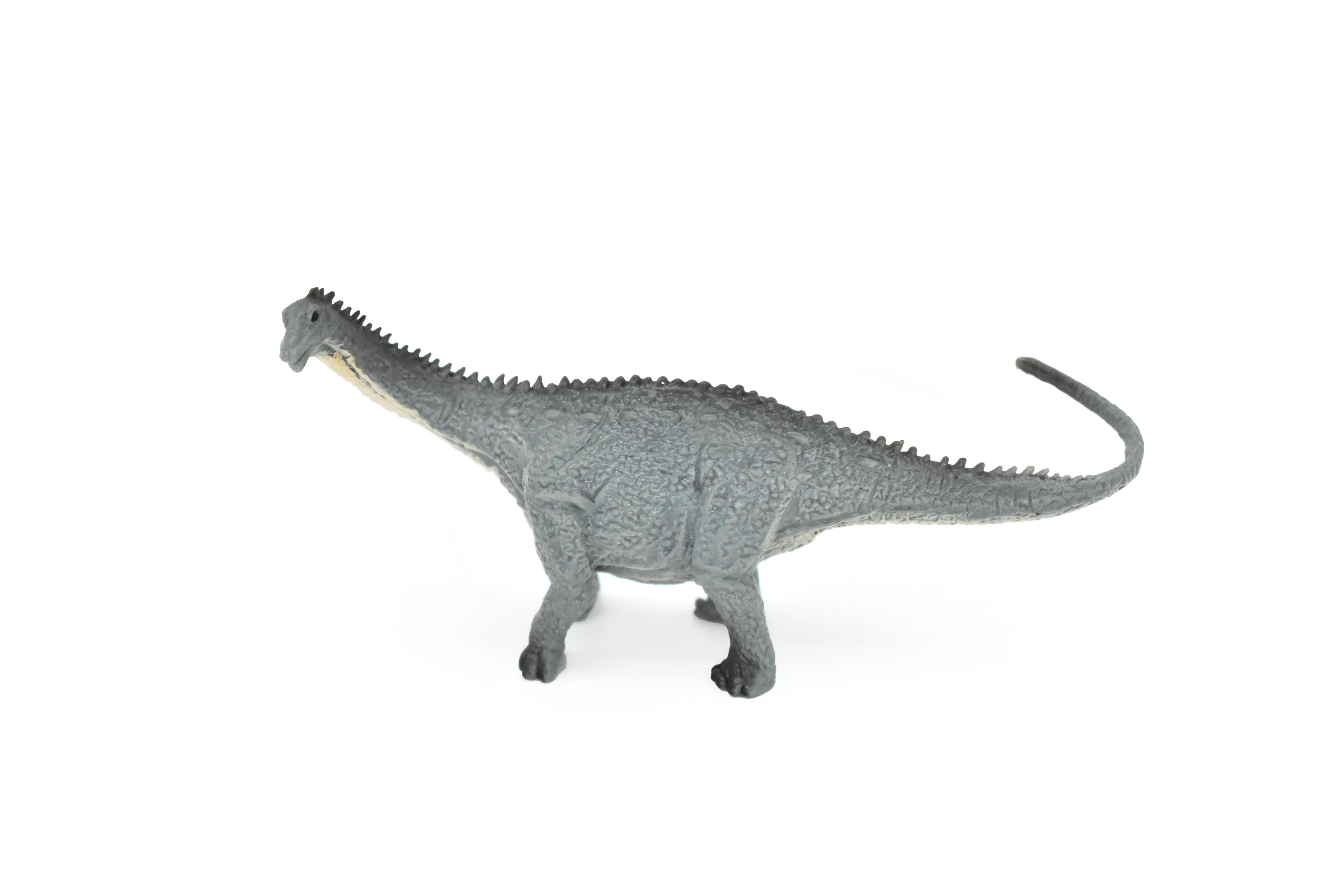 Apatosaurus Dinosaur, Museum Quality, Animal, Educational, Realistic ...