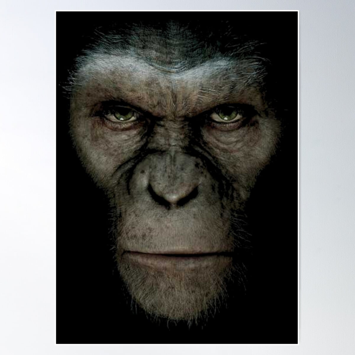 Ape Poster Wall Art, Modern Wall Decor For Living Room Bedroom, 12x18 ...