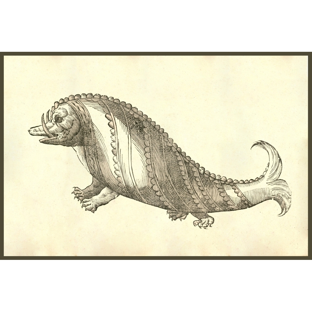 Aper Marinus Cetacus Poster Print by Ulisse Aldrovandi (18 x 24 ...