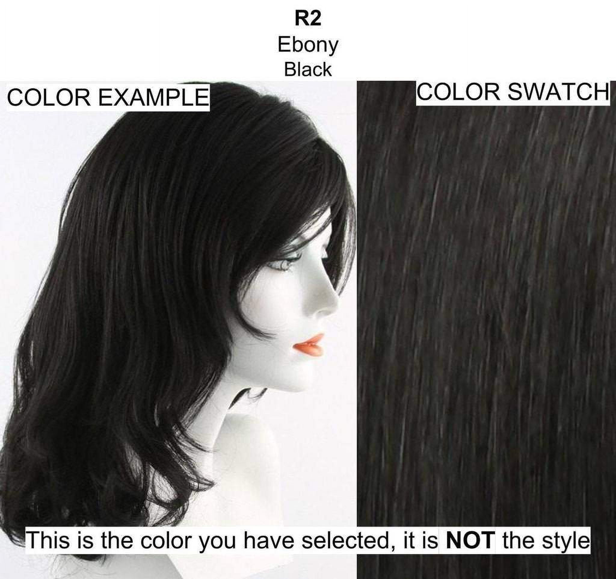 Aperitif Hair Bun Color R2 EBONY - Hairpiece 5-6" Lengths Two ...
