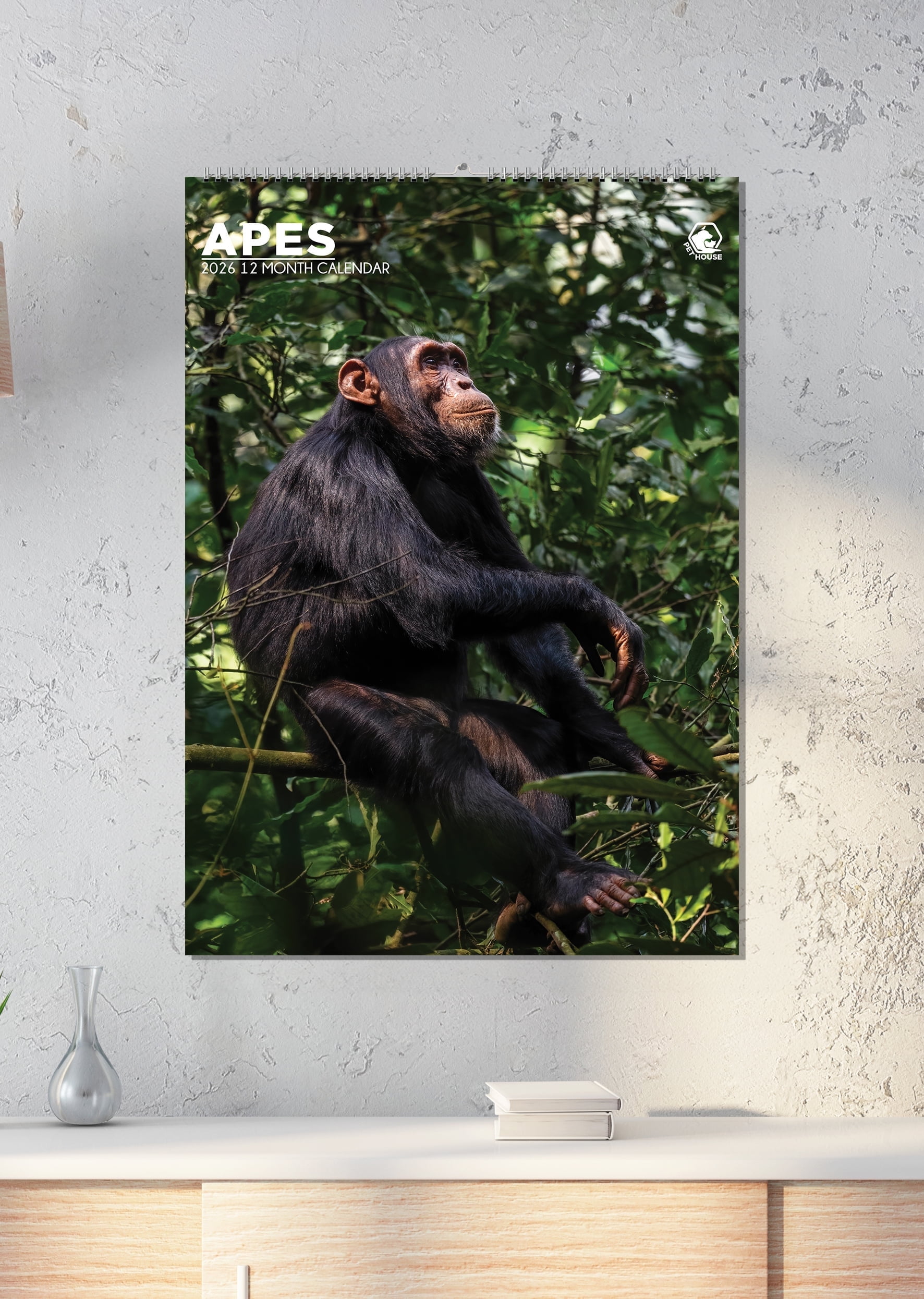 Apes Calendar 2026 – A Year of Majestic Primates - Walmart.com