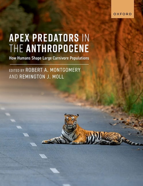 Apex Predators in the Anthropocene: How Humans Shape Large Carnivore ...