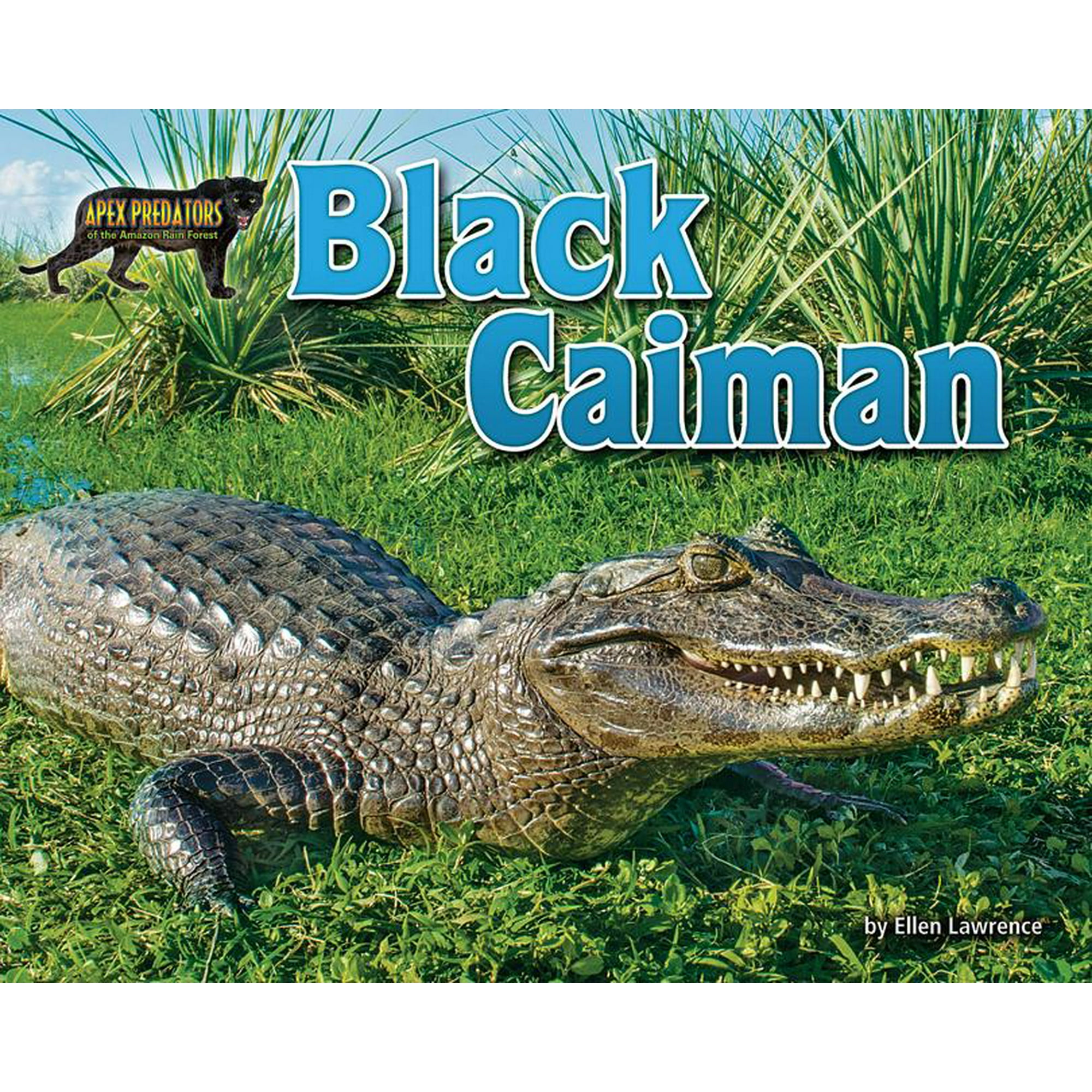 Amazon Black Caiman