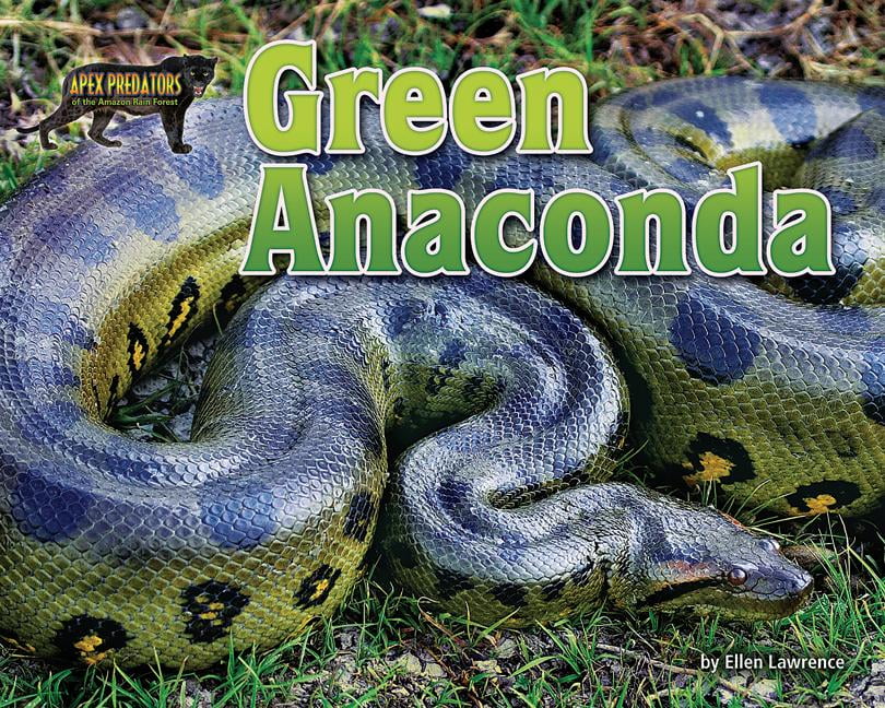 Amazon Anaconda Facts
