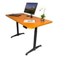 ApexDesk Vortex Series M Edition 60" Metal Wood Standing Desk in Light ...