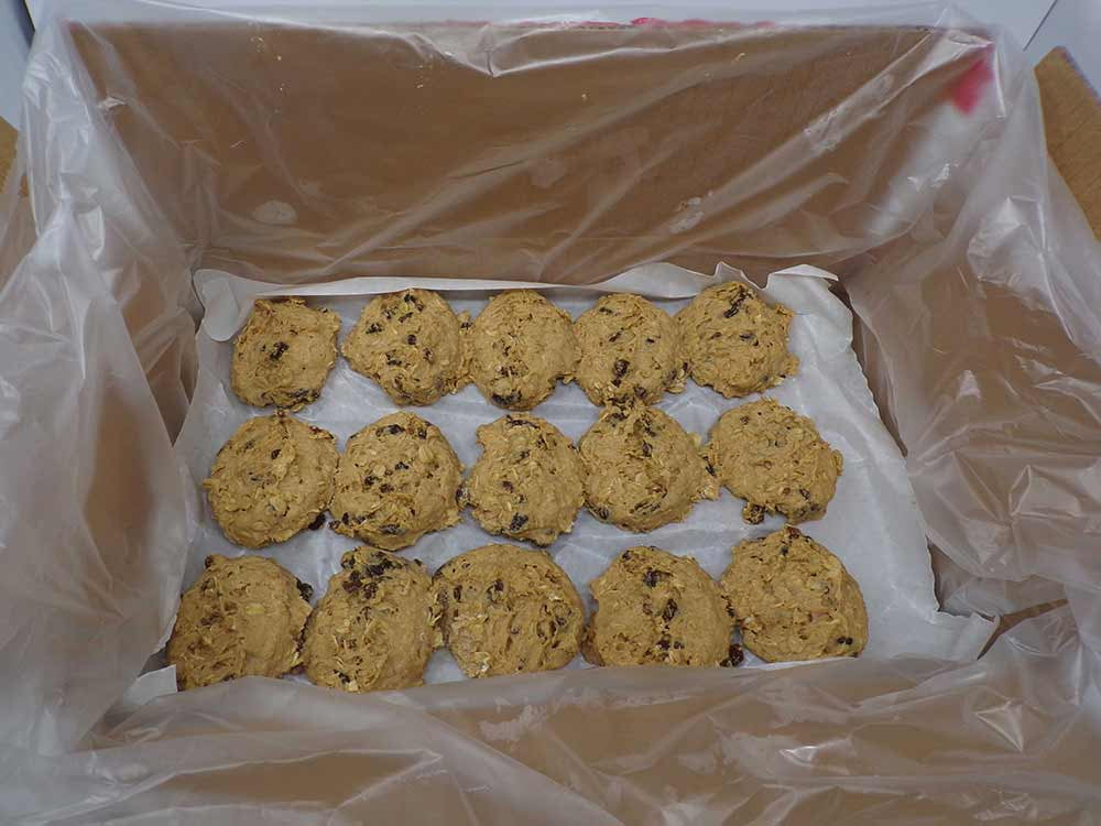 Aphrodite Divine Confections Oatmeal Raisin Cookie Dough Puck, 2.5 ...