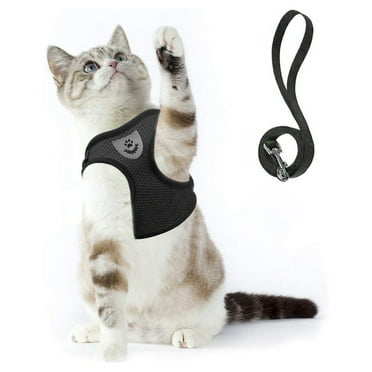 Shldybc Cat Harness and Leash Set for Walking Cat and Small Dog Harness ...
