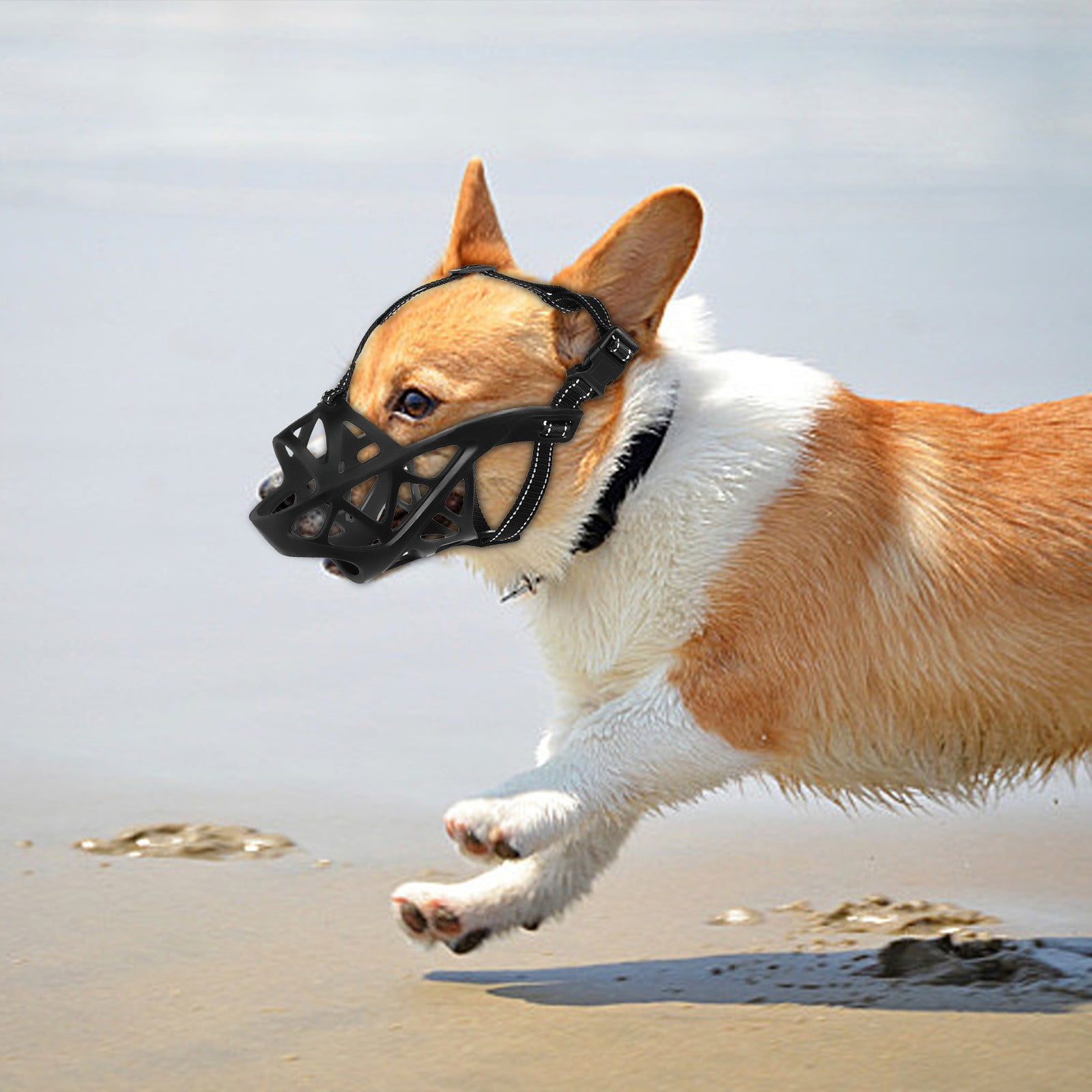 Apmemiss office Decor Clearance Dog Muzzle, Muzzle for Biting, Chewing ...