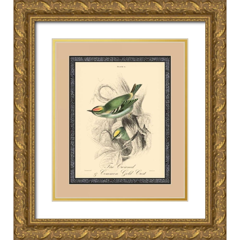 Apogee Art Services 20x23 Gold Ornate Wood Framed with Double Matting ...
