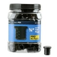 Apollo 3/4 in. Plastic PEX-B Barb Plug Pro Pack (90-Pack), Black ...