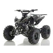 Tao Motor New 125 T-FORCE Platinum 120 cc Gas All-Terrain Vehicle (ATV ...