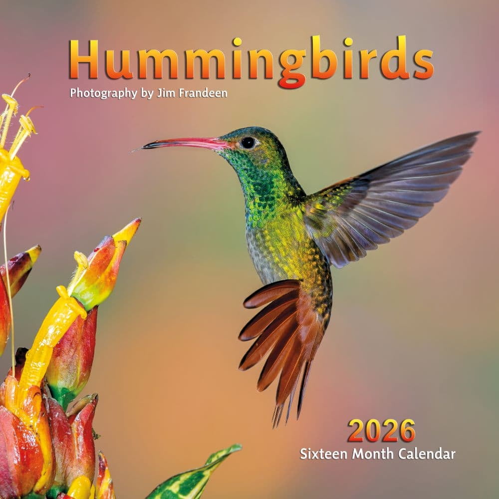 Apollo Publishers, Hummingbirds 2026 Wall Calendar, 12'' X 12'', 16 ...