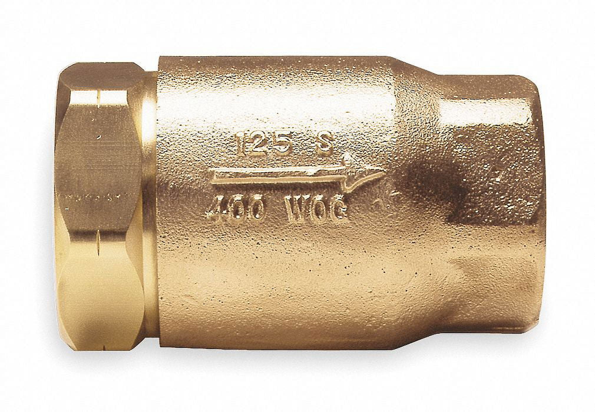 Apollo Valves Ball Cone Check Valve,Bronze,2",FNPT 6110801 - Walmart.com