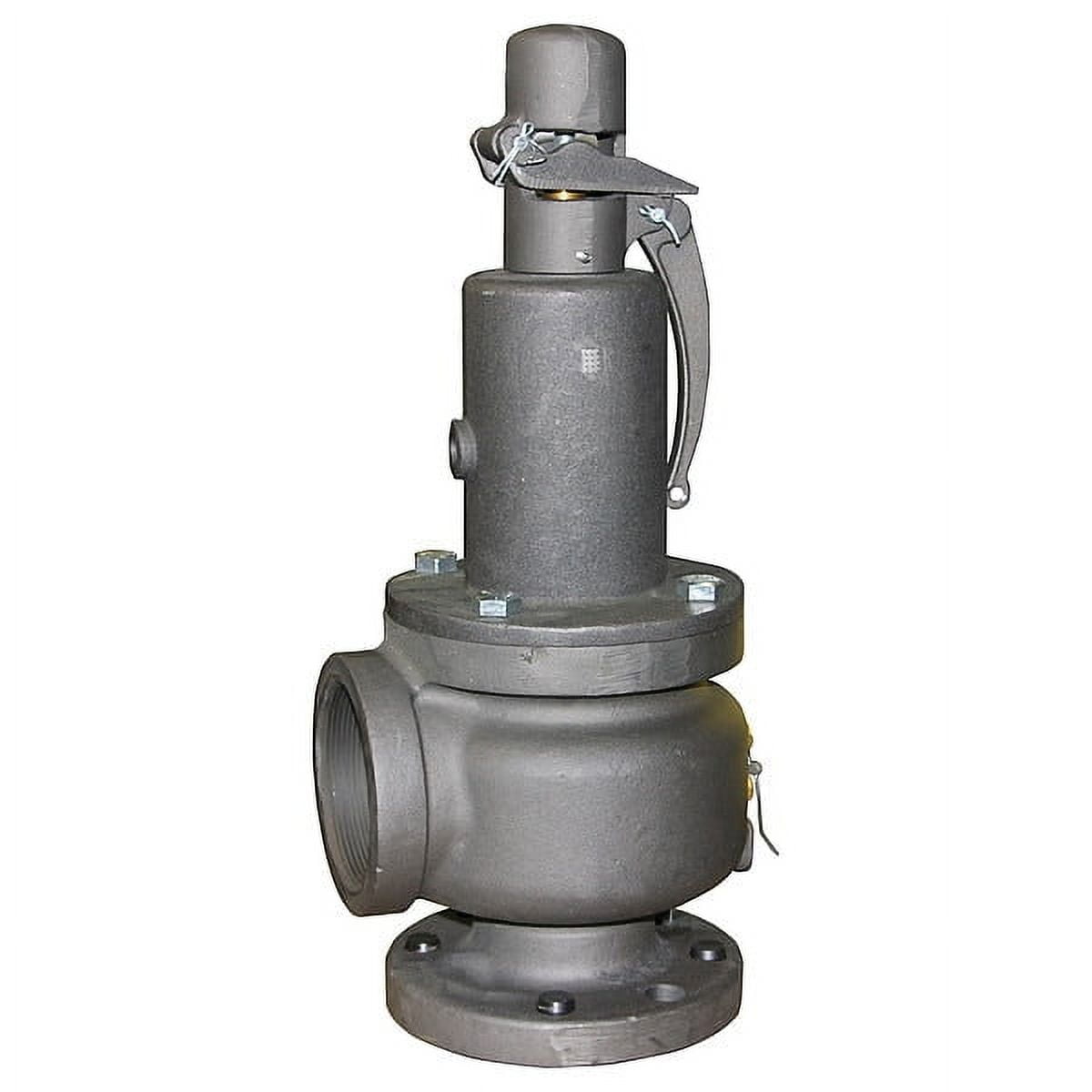 Apollo Valves Safety Relief Valve,1 In,15 psi 13202B15 - Walmart.com