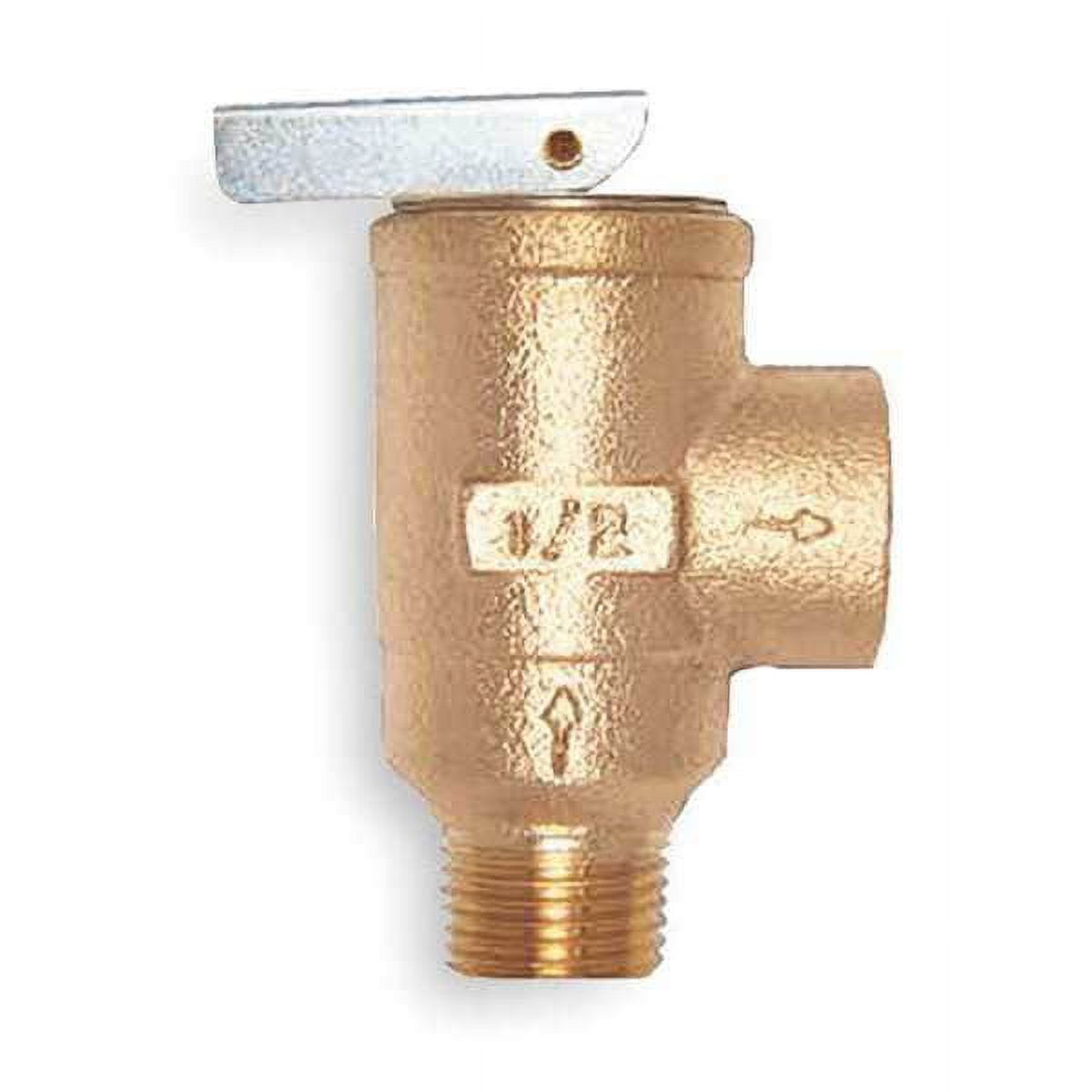 Apollo Valves Safety Relief Valve,3/4 In,150 psi 1740204 - Walmart ...