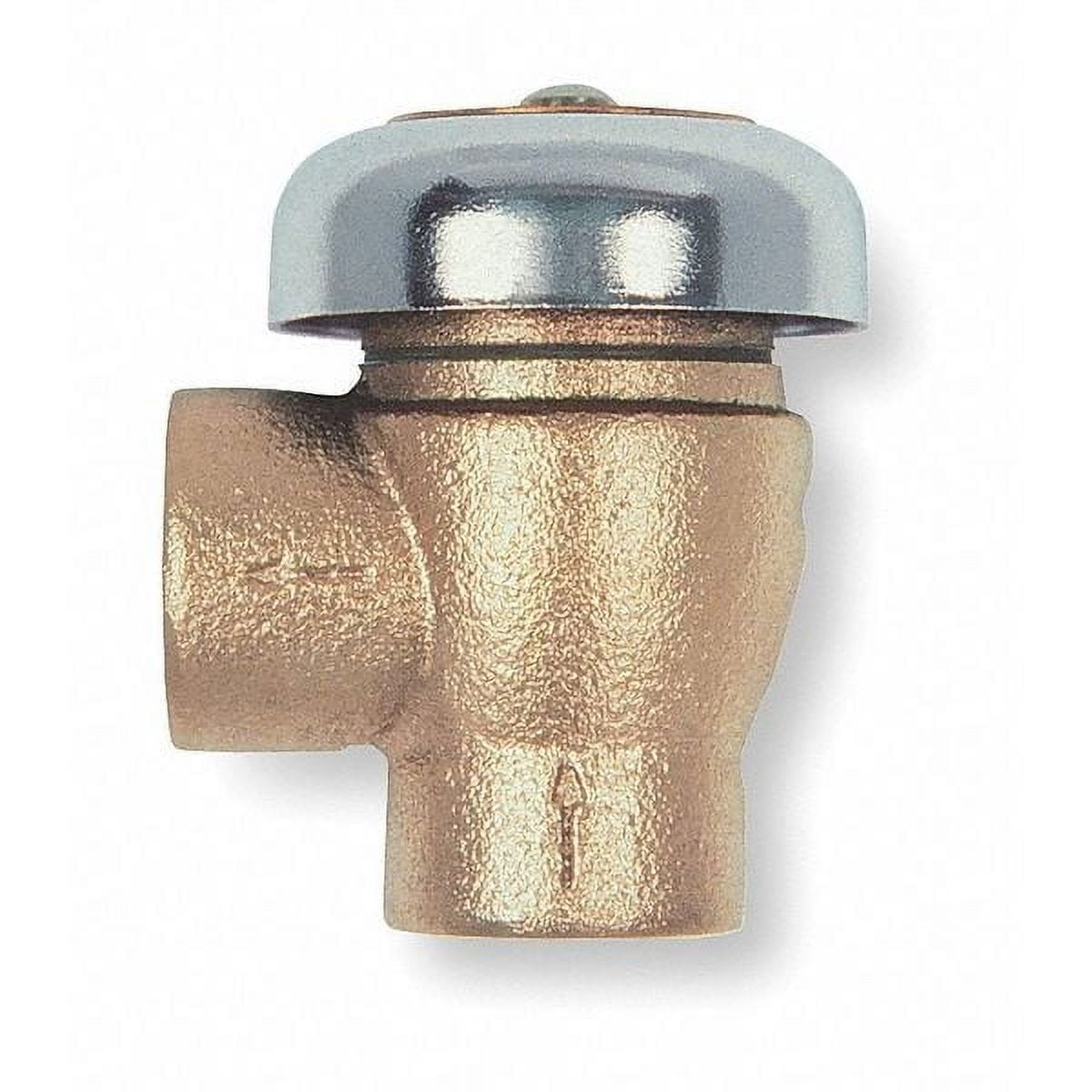 Apollo Valves Vacuum Breaker,1/4In,FNPT,Bronze,125 psi 3810101 ...
