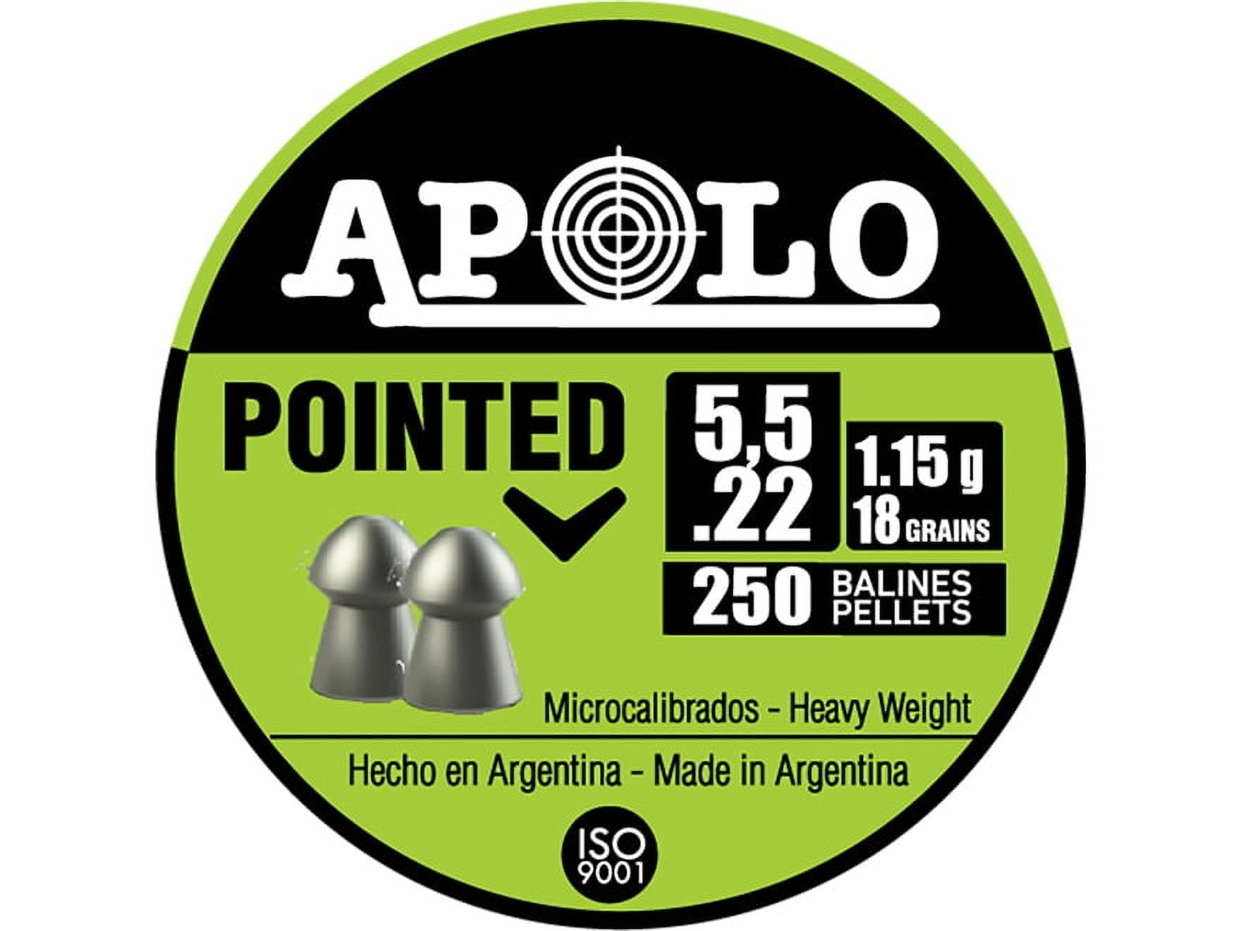 Apolo Pointed Air Gun Pellets 22 Caliber 18 Grain 5.5mm 250PK - Walmart.com