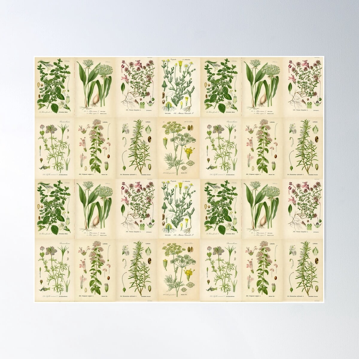 Apothecary Herbs Vintage Botanical Plants Cottagecore Poster Wall Art ...