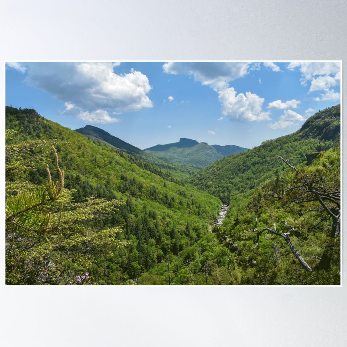 Appalachian Mountain Gorge Canyon View Poster Wall Art, Modern Wall ...
