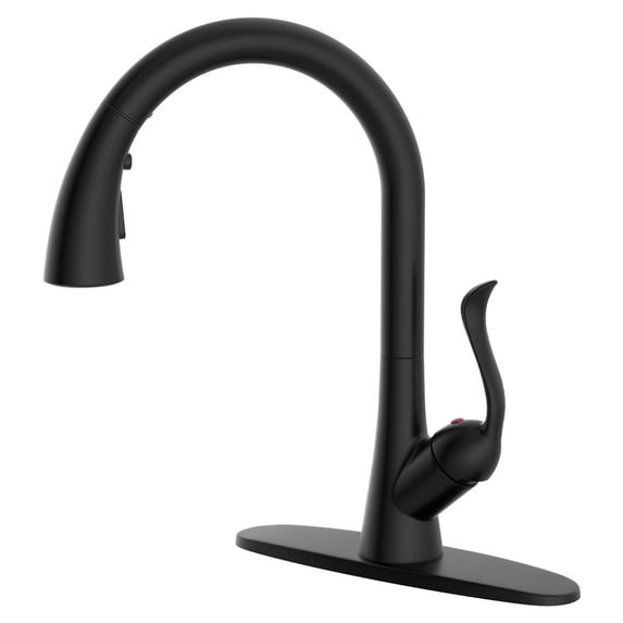 Appaso Pull Down Kitchen Faucet with Sprayer Stainless Steel Matte ...