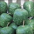 Apple Gourd Seeds for Planting - 20 Seeds - Fun to Grow Gourds Shaped ...