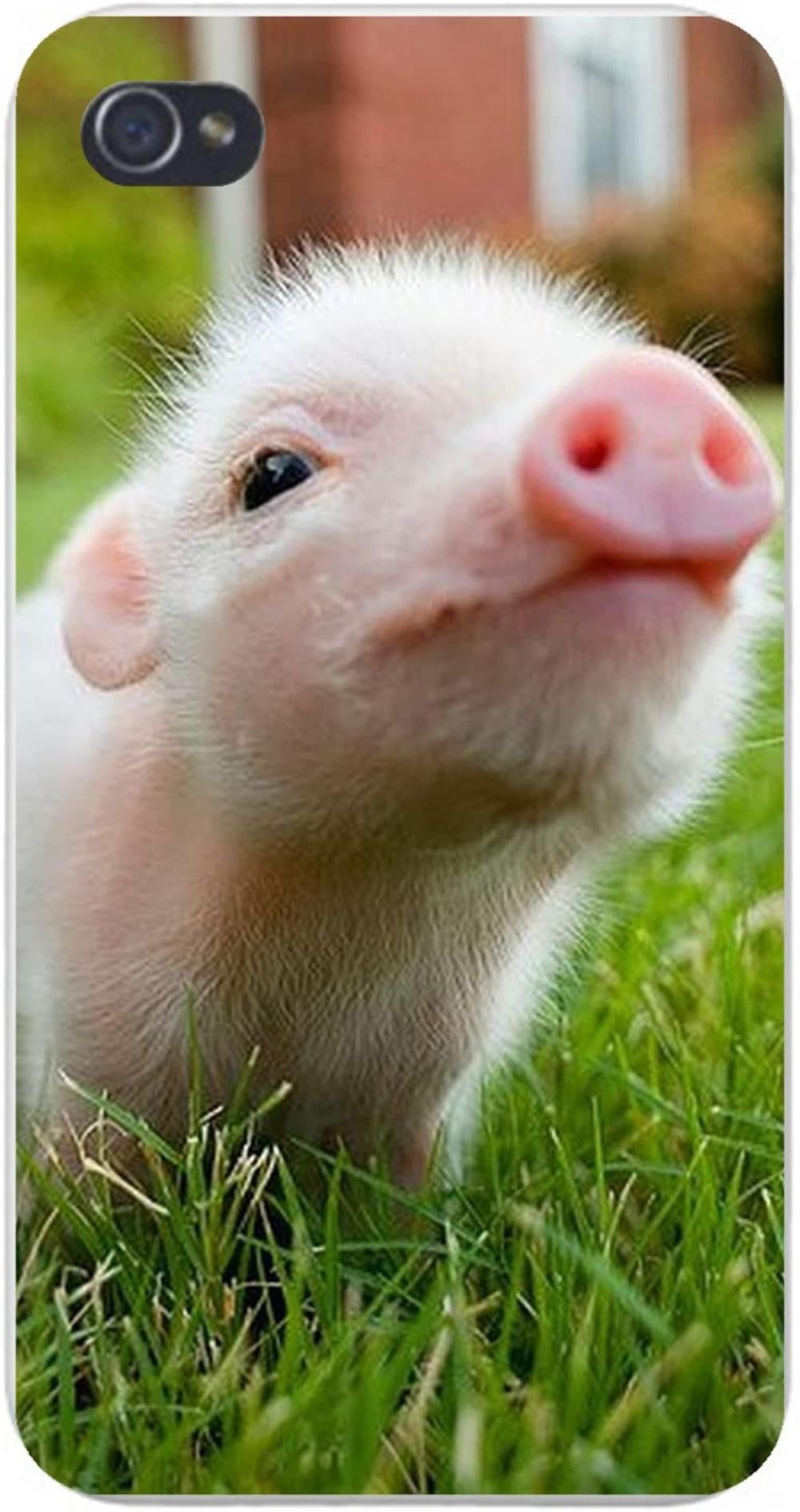 Apple Iphone Custom Case 5 / 5s AND SE White Plastic Snap on - Cute ...