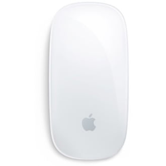 First Apple Computer Mouse