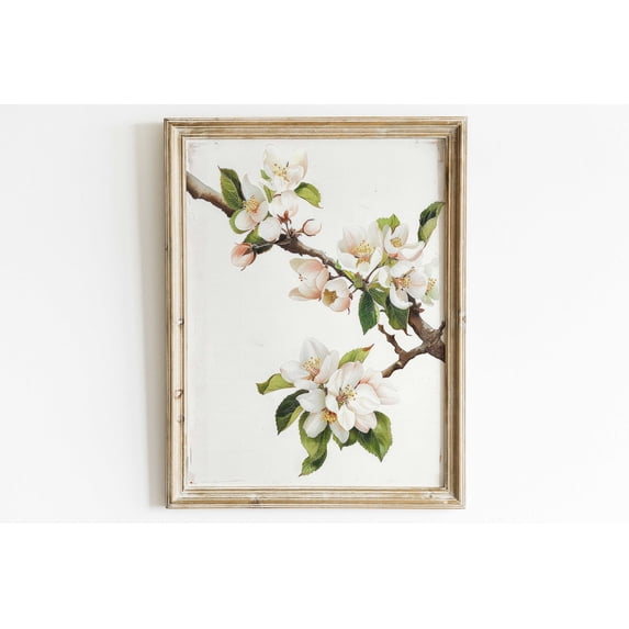 Apple Tree Branch Poster Blossom Rustic Floral Art, Unframed Canvas ...