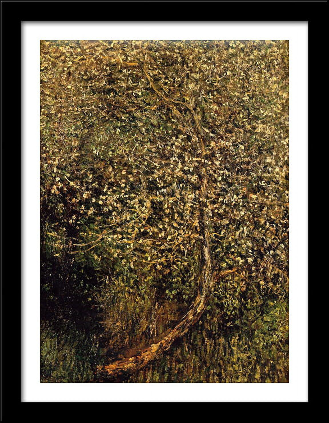 Apple Trees in Blossom by the Water 28x38 Large Black Wood Framed Print ...