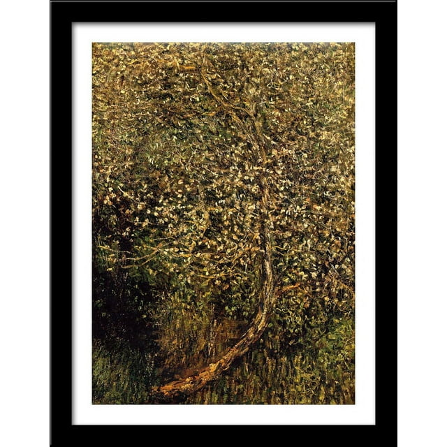 Apple Trees in Blossom by the Water 28x38 Large Black Wood Framed Print ...