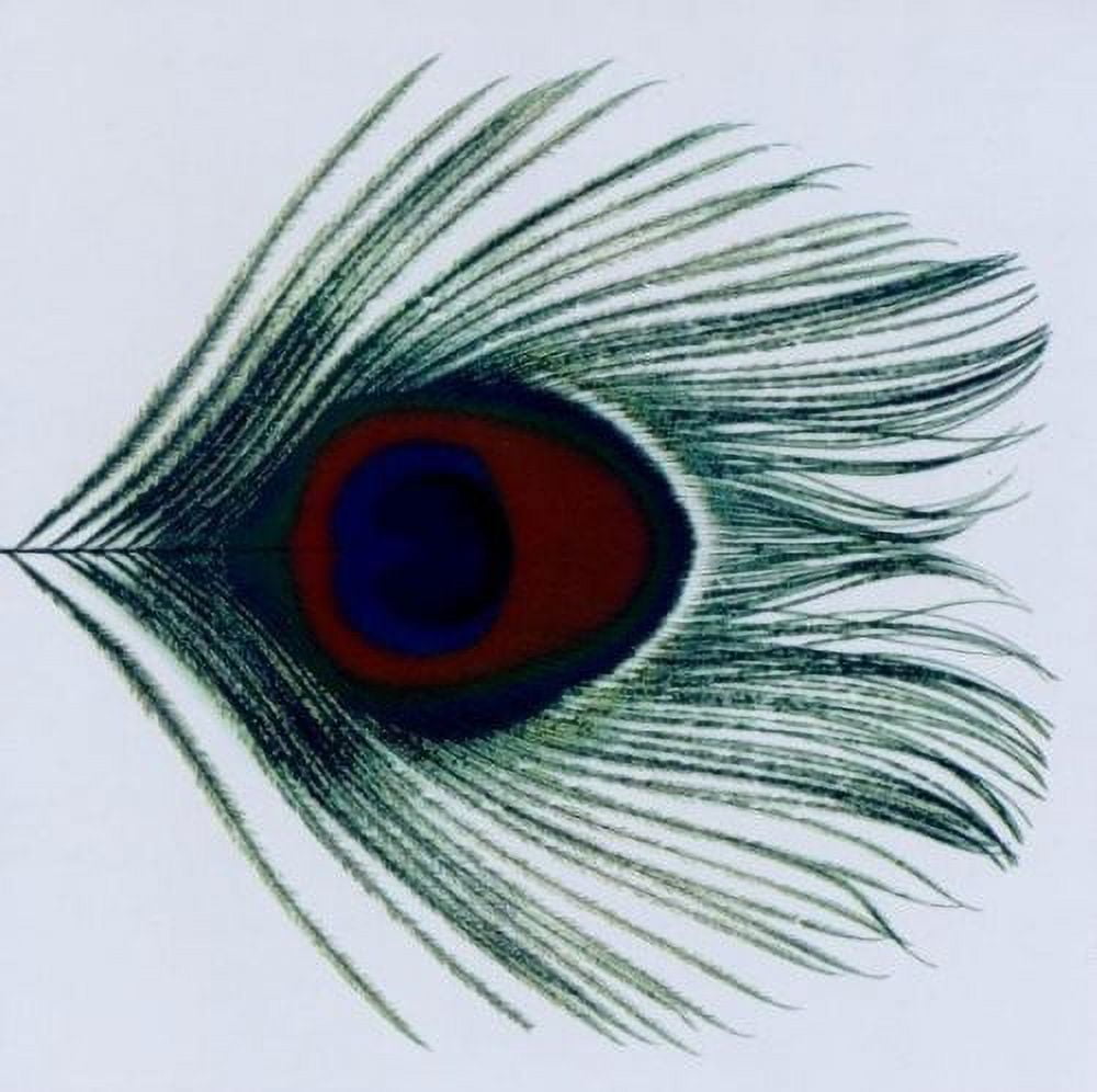 Apple Venus Volume 1 - Walmart.com