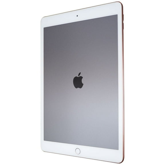8th Gen Apple iPad 10.2-inch Tablet, Model A2270, Wi-Fi (32GB, Space ...