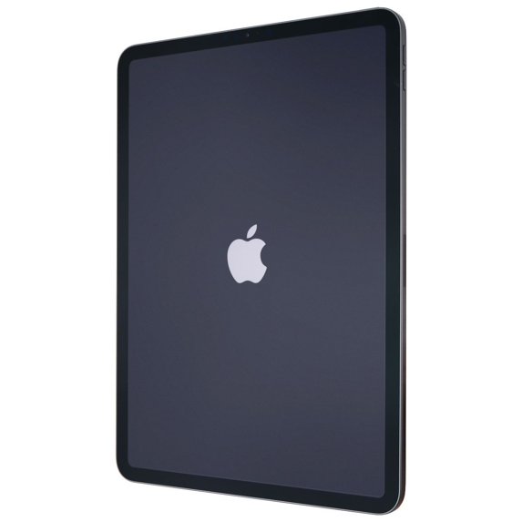 Apple iPad Pro 11 in. (2nd Gen) Tablet (A2228) Wi-Fi Only - 256GB/Space ...