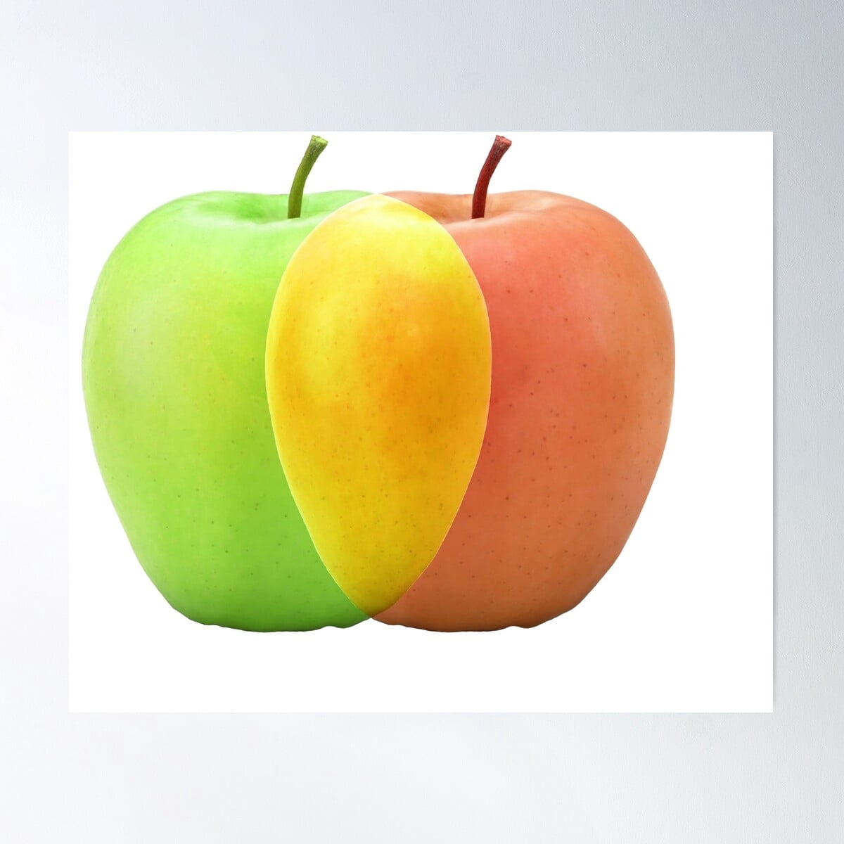 Apples Stay Together As One Poster Wall Art, Modern Wall Decor For ...