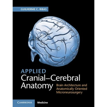 Pediatric and Neonatal Mechanical Ventilation: From Basics to Clinical ...