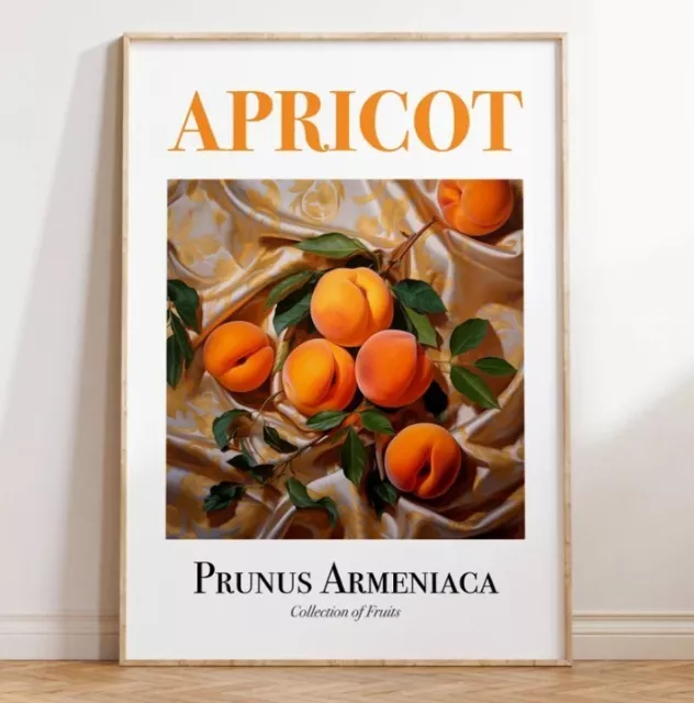 Apricot Painting Print - Contemporary Culinary Art Design NO FRAMED ...