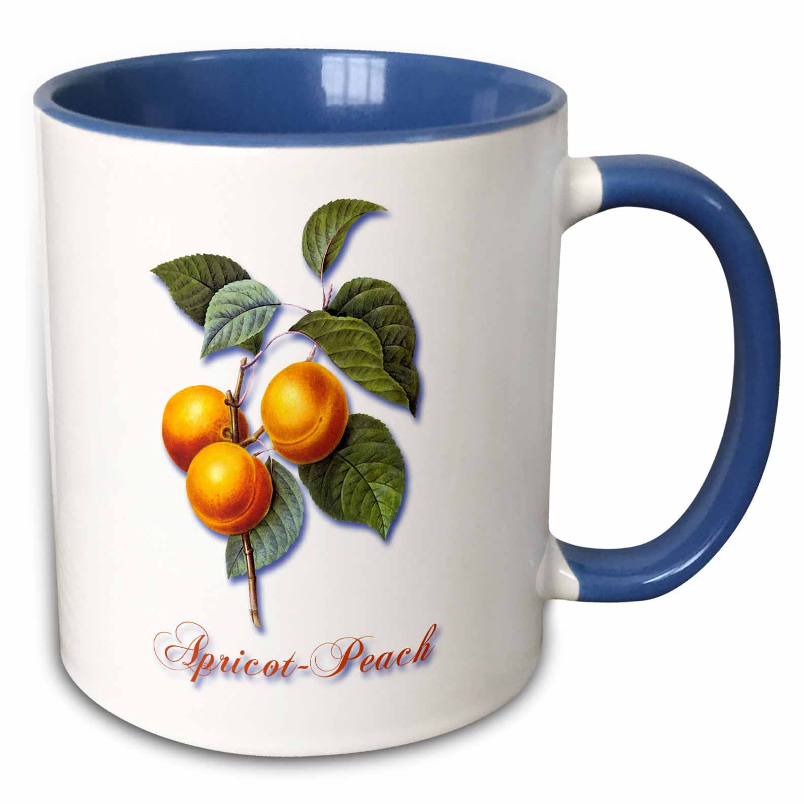 Apricot-Peach, Botanical Print of Bright Yellow Fruits on a Branch 15oz ...