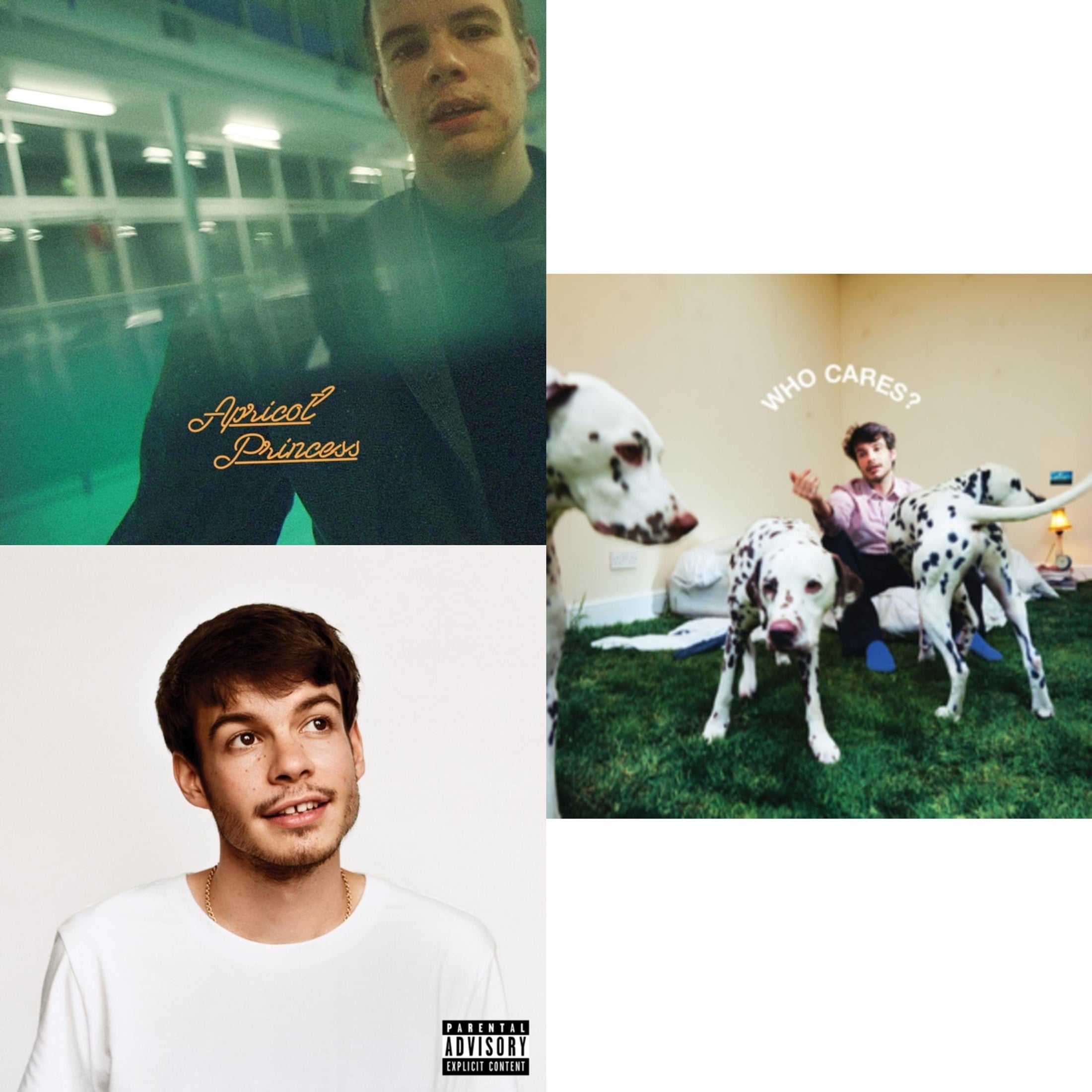 Apricot Princess & Pony (X) (140G/Dl Insert) & Who Cares? (X) (150G ...