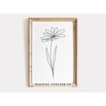 April Birth Flower Daisy Line Drawing, Botanical Floral Poster ...
