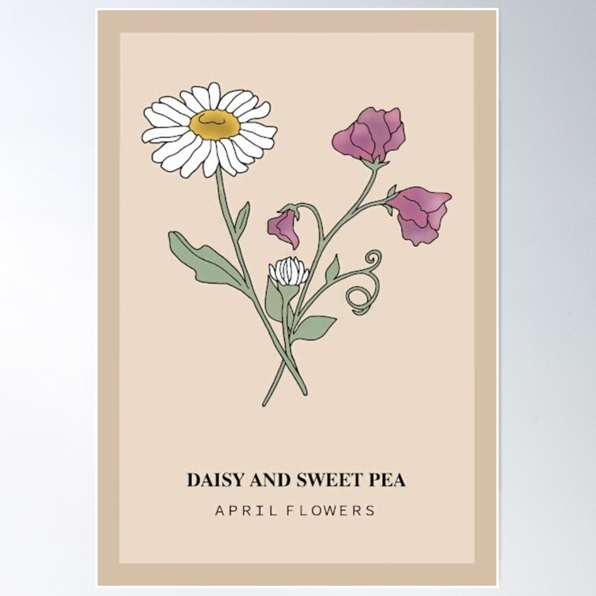 April Birth Flowers: Daisy And Sweet Pea Poster Wall Art, Modern Wall ...