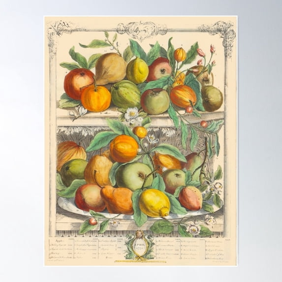 April, From The Twelve Months Of Fruits, By Robert Furber (1732) High ...