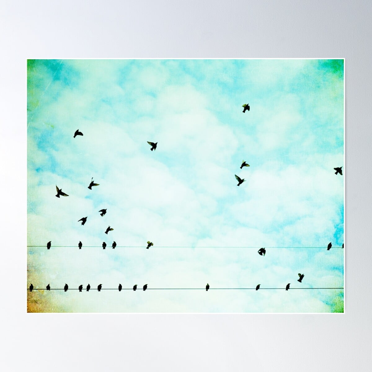 Aqua Blue Birds Flying In Sky Nature Photography Poster Wall Art ...