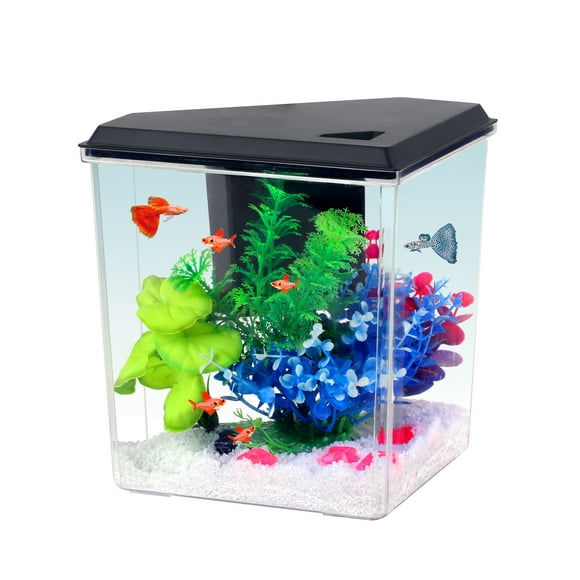 Betta Fish Tanks in Fish Tanks - Walmart.com