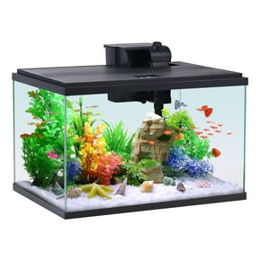 Fish Tanks & Aquariums - Essential Pet Supplies for Businesses