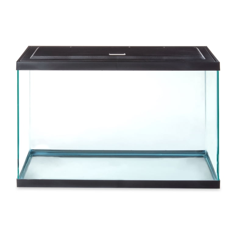 Empty Fish Tank Background